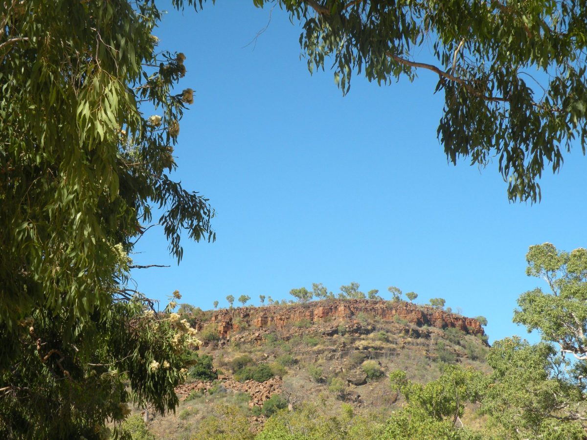 Victoria Highway from the Territory to WA – Born To Travel Australia
