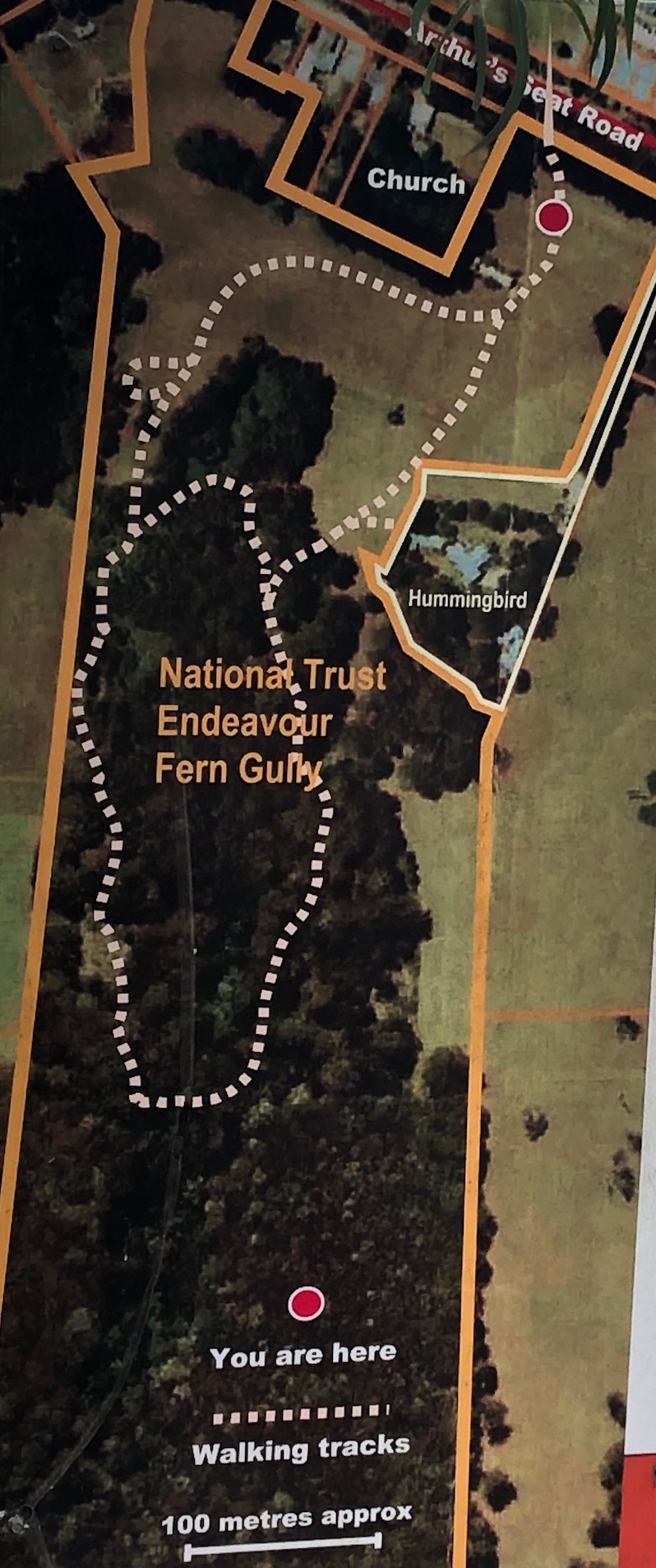 Endeavour Fern Gully, Red Hill – Born To Travel Australia